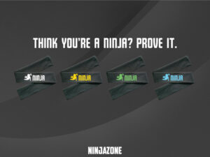 Ninja - Great Lakes Kids Energy Zone